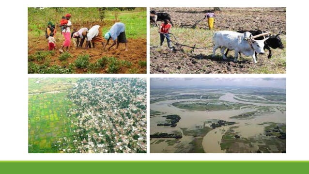 Population Geography and Agricultural Geography.pptx