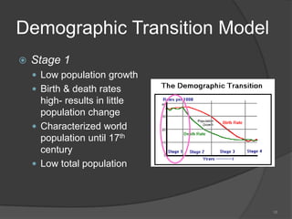 Population geography vocabulary | PPTX
