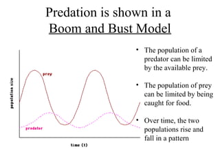 Biology: Ecology_Populationgrowth | PPT