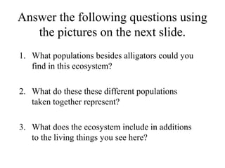 Biology: Ecology_Populationgrowth | PPT