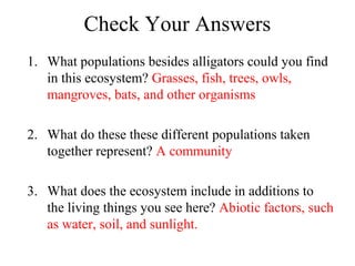 Biology: Ecology_Populationgrowth | PPT