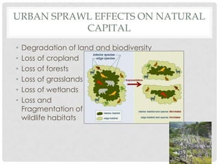 Population growth and urbanization | PPTX