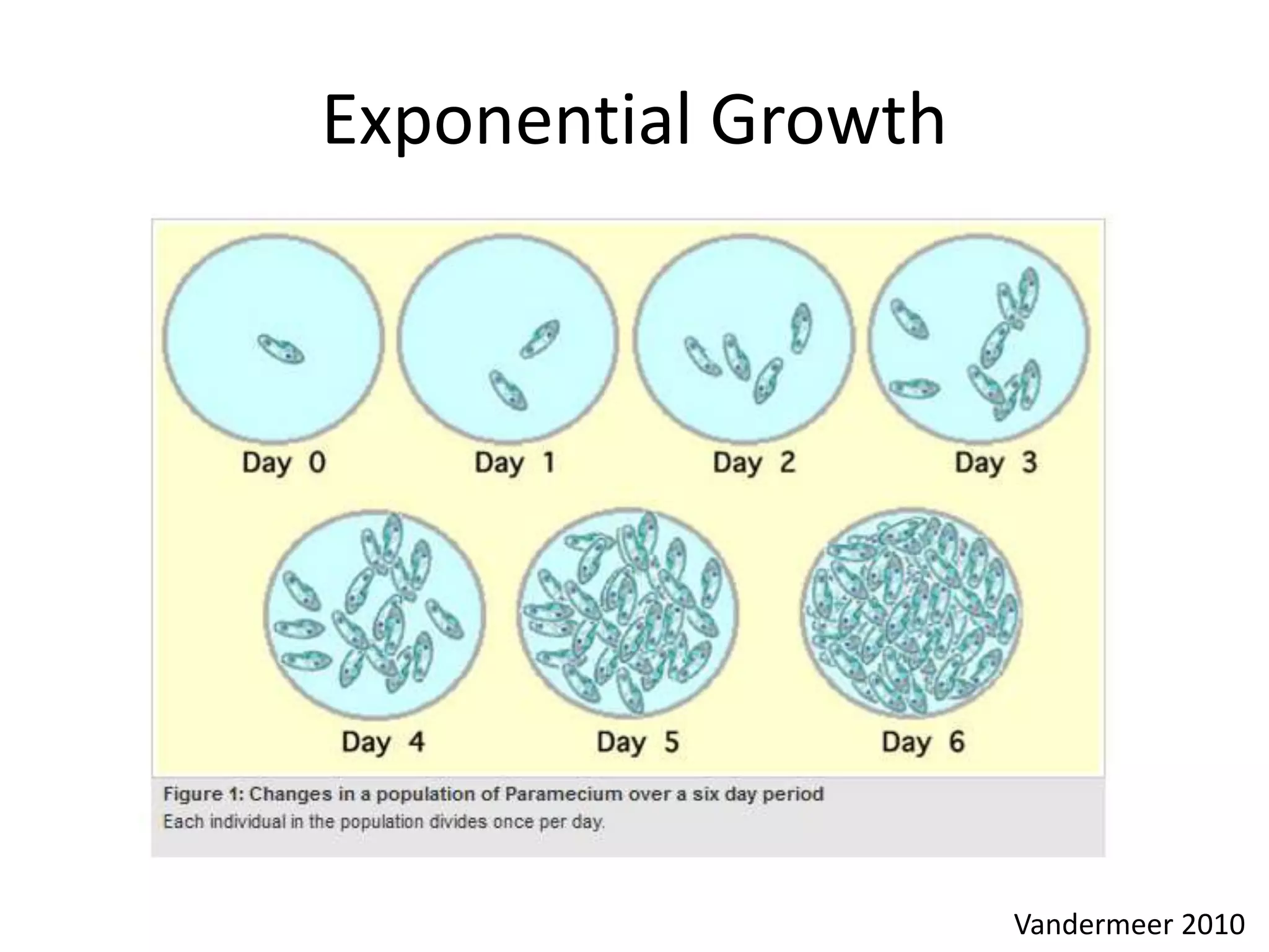 Population Growth Equations: Revisted | PPT