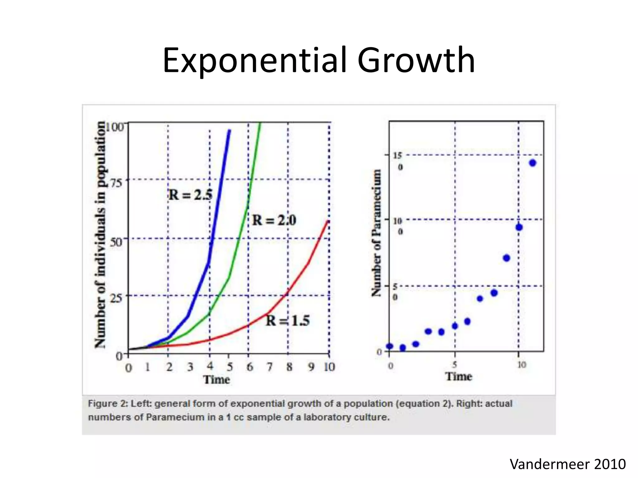 Population Growth Equations: Revisted | PPT