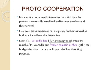 Population interaction and their Types. | PPTX