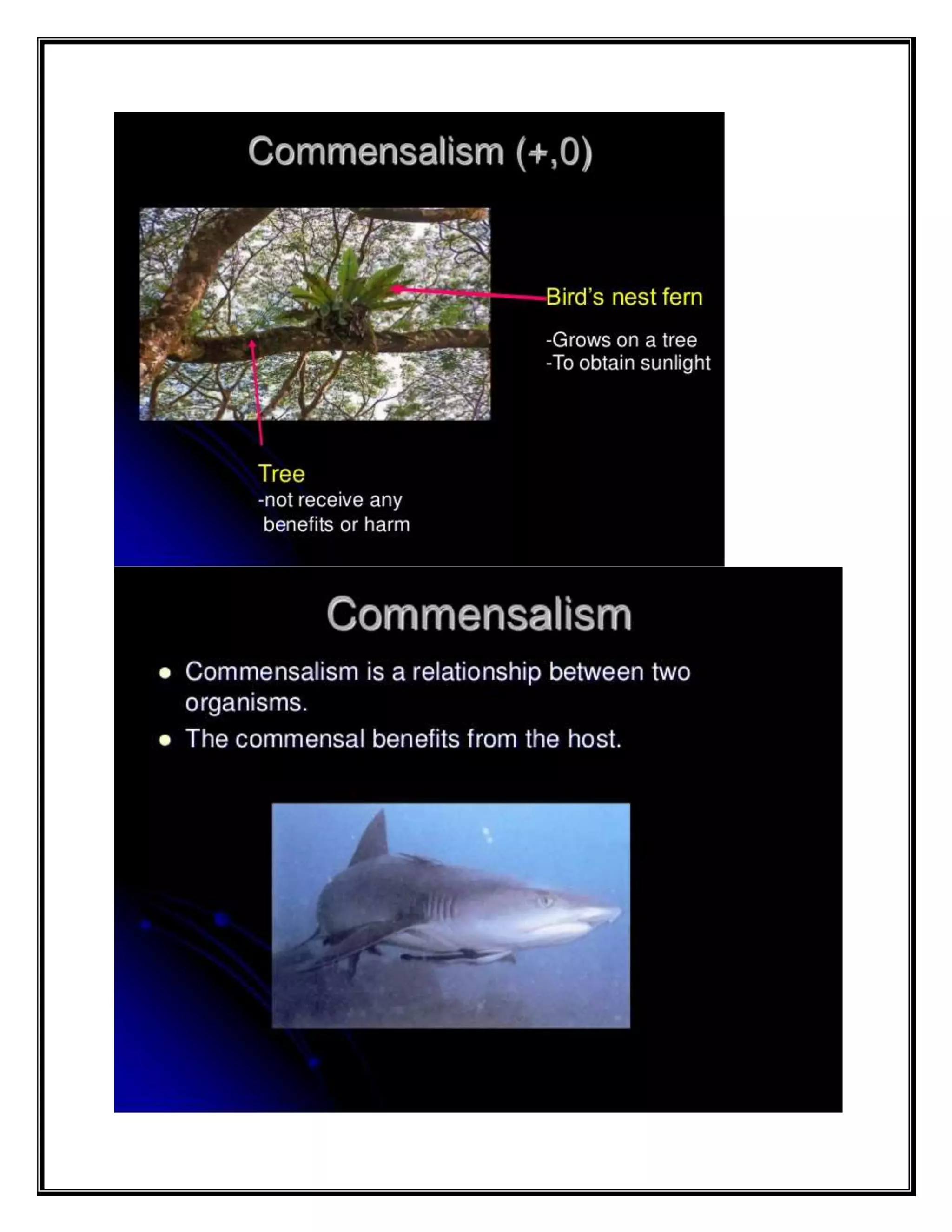 Population interaction | DOCX