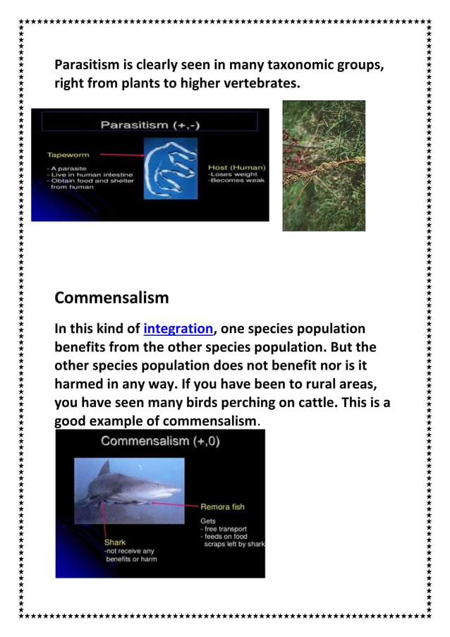 Population Interaction.pdf