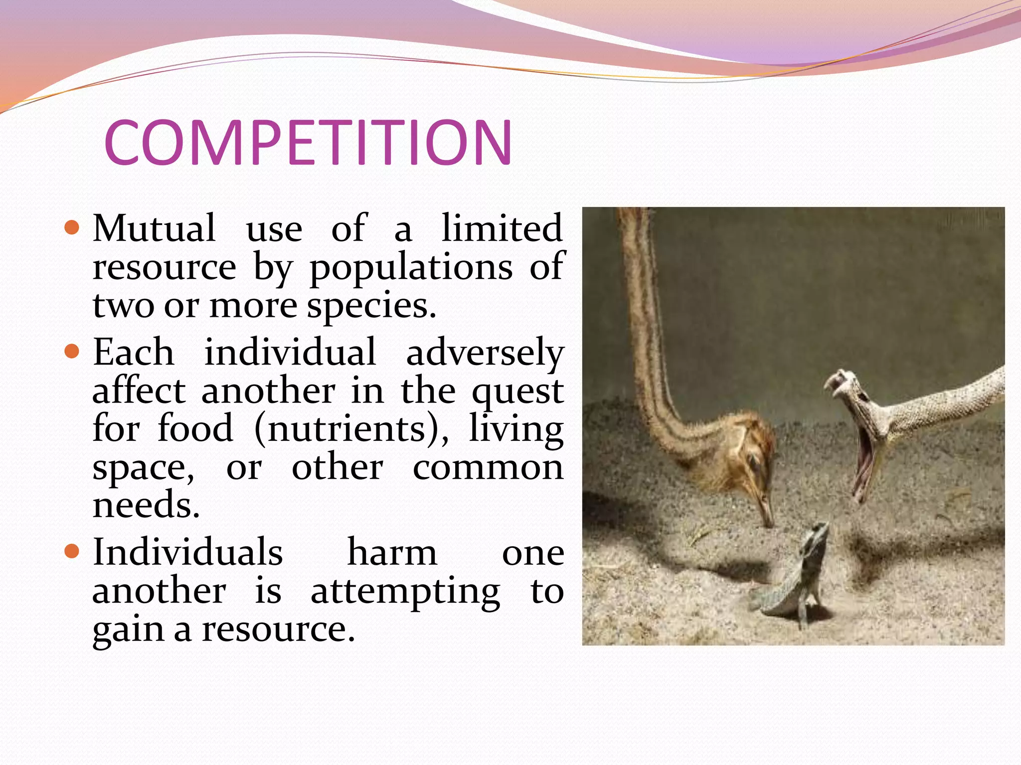 Population interaction ppt | PPTX