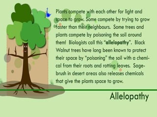 Population interaction ppt | PPTX