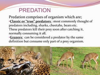 Population interaction ppt | PPTX