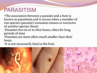 Population interaction ppt | PPTX
