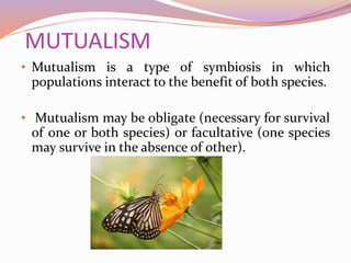 Population interaction ppt | PPTX