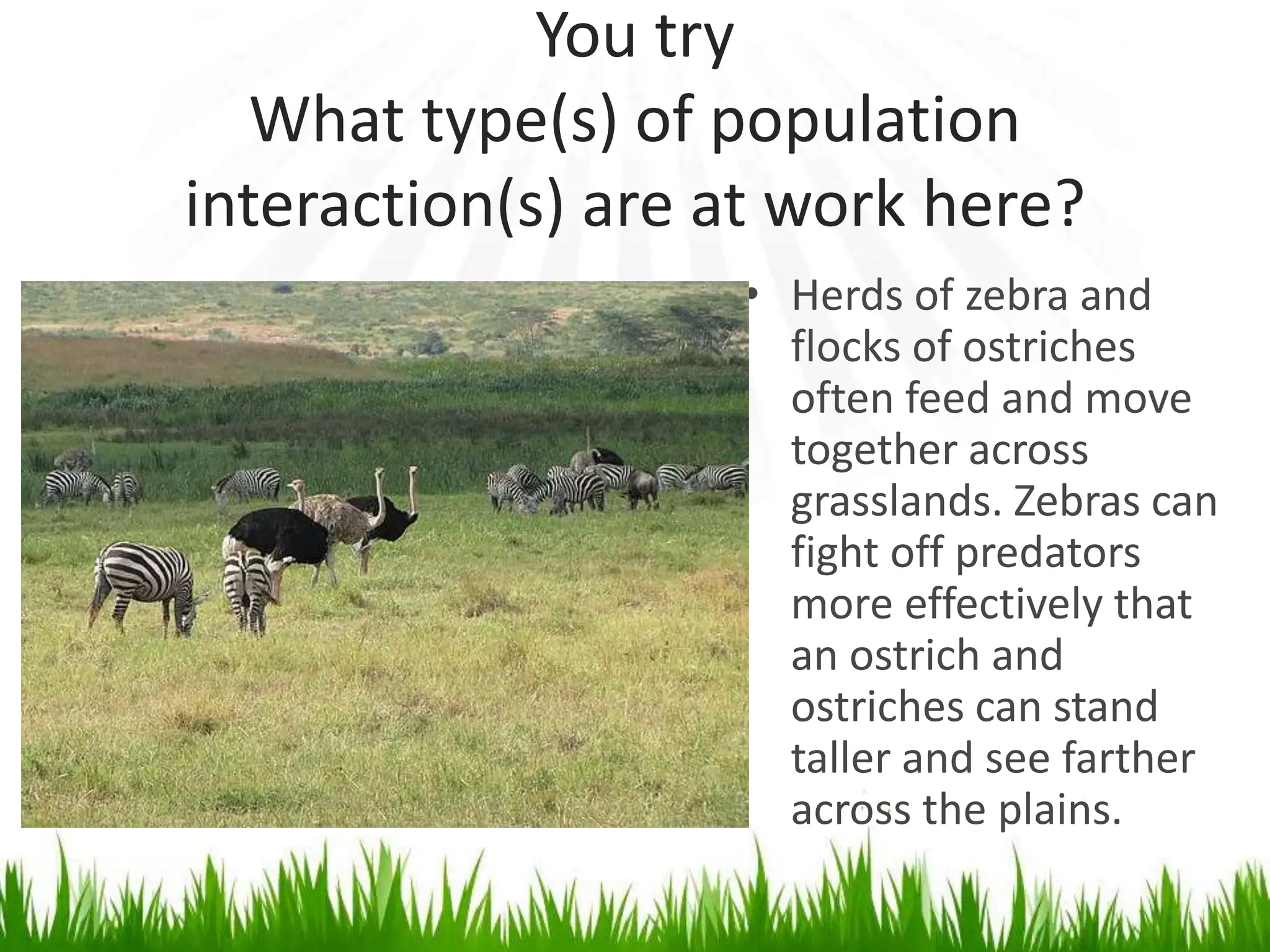 Population interactions and special species types | PPTX