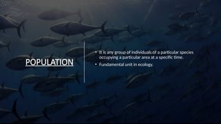 population, community and food web.pptx