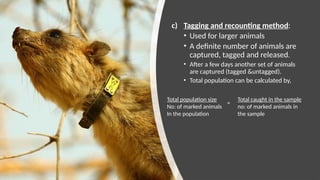 population, community and food web.pptx