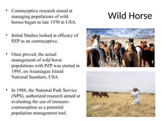 Population Management Techniques in wild animals.pptx