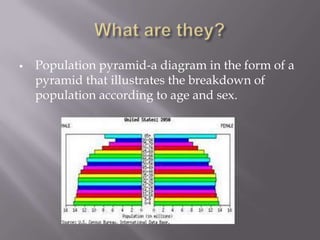 Population pyramid | PPTX
