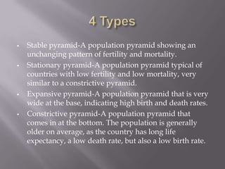Population pyramid | PPTX