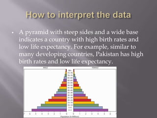 Population pyramid | PPTX