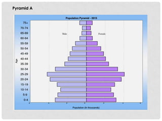 Population pyramid | PPTX