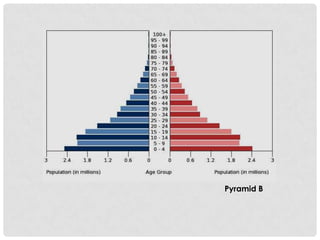 Population pyramid | PPTX