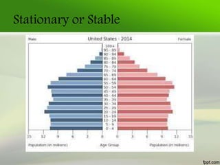 Population pyramid | PPT