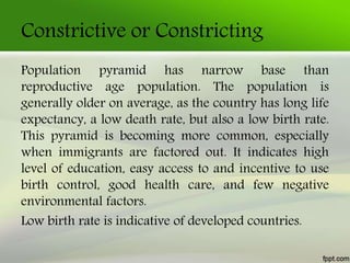 Population pyramid | PPT