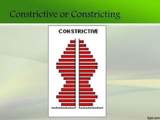Population pyramid | PPT