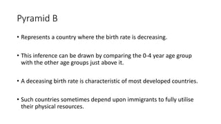 Population Pyramid | PPTX