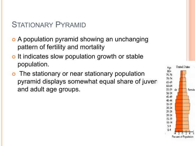 Population pyramid | PPTX