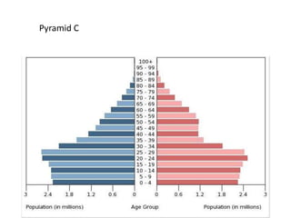 Population pyramid ib case studies | PPT