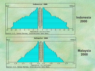 population_pyramid nice ppt age structure diagrams ppt | PPT