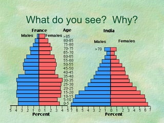 population_pyramid nice ppt age structure diagrams ppt | PPT