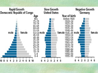 population_pyramid nice ppt age structure diagrams ppt | PPT