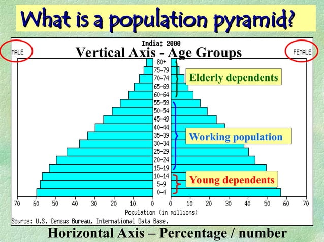 population_pyramid nice ppt age structure diagrams ppt | PPT