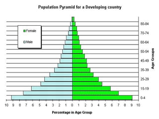 population_pyramid nice ppt age structure diagrams ppt | PPT