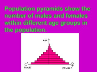 Population Pyramid Presentation | PPT