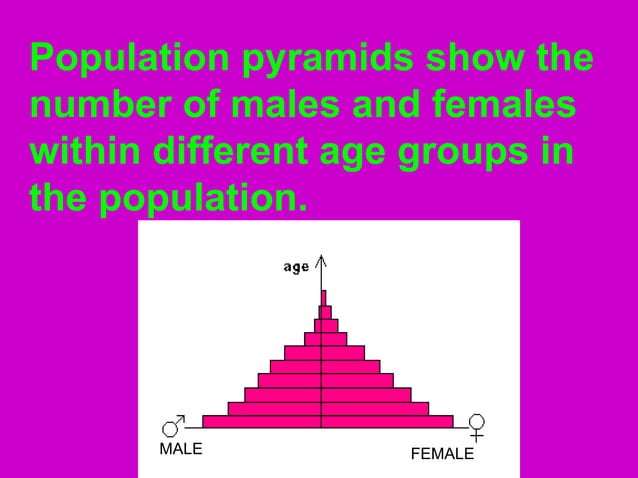 Population Pyramid Presentation | PPT | Geography | Science