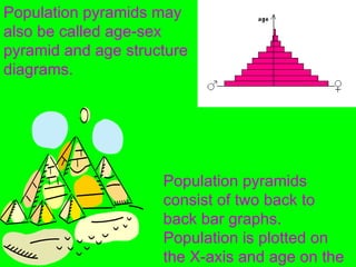 Population Pyramid Presentation | PPT | Geography | Science