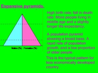 Population Pyramid Presentation | PPT | Geography | Science
