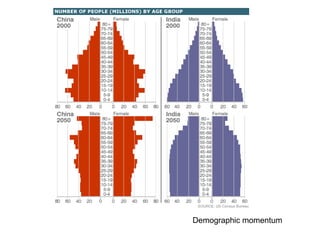 Population Pyramids | PPT