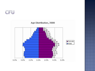 Population Pyramids | PPT