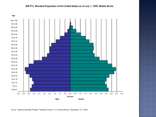 Population Pyramids | PPT