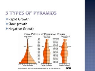 Population Pyramids | PPT