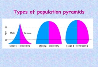 Population pyramids | PPT