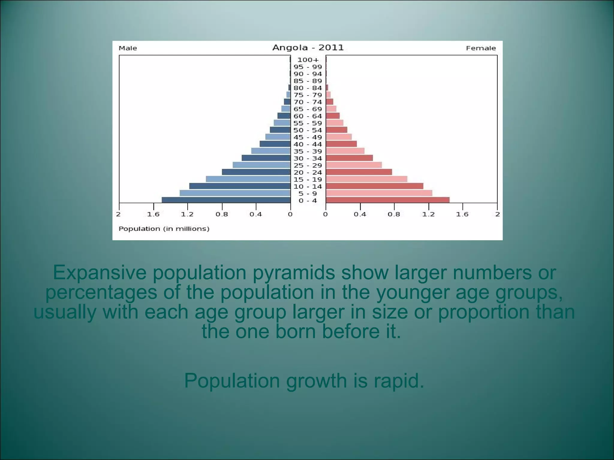 Types of Population Pyramids | PPT