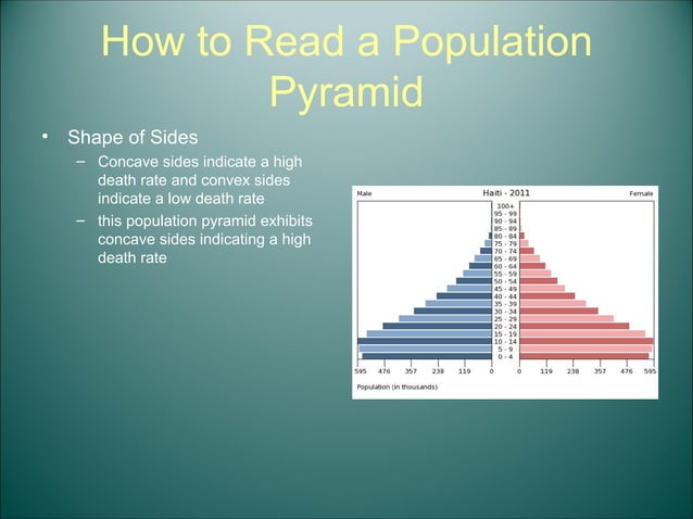 Types of Population Pyramids | PPT