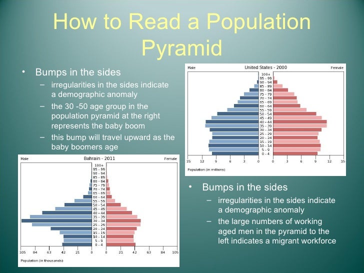 Types of Population Pyramids