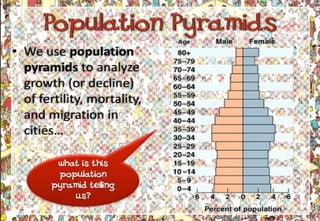 Population pyramids | PPT