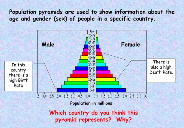 Population pyramids | PPT